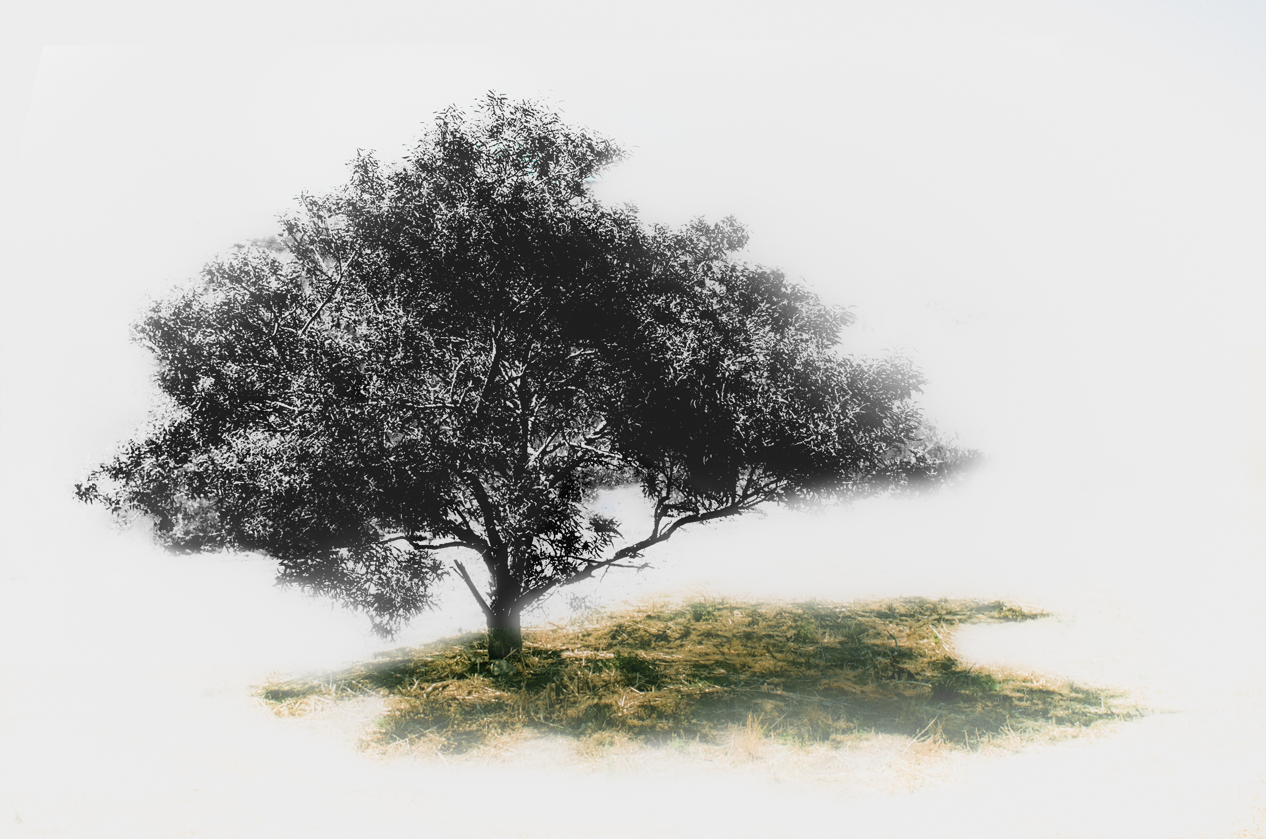Storybook by Daniel Alvin | Fstoppers