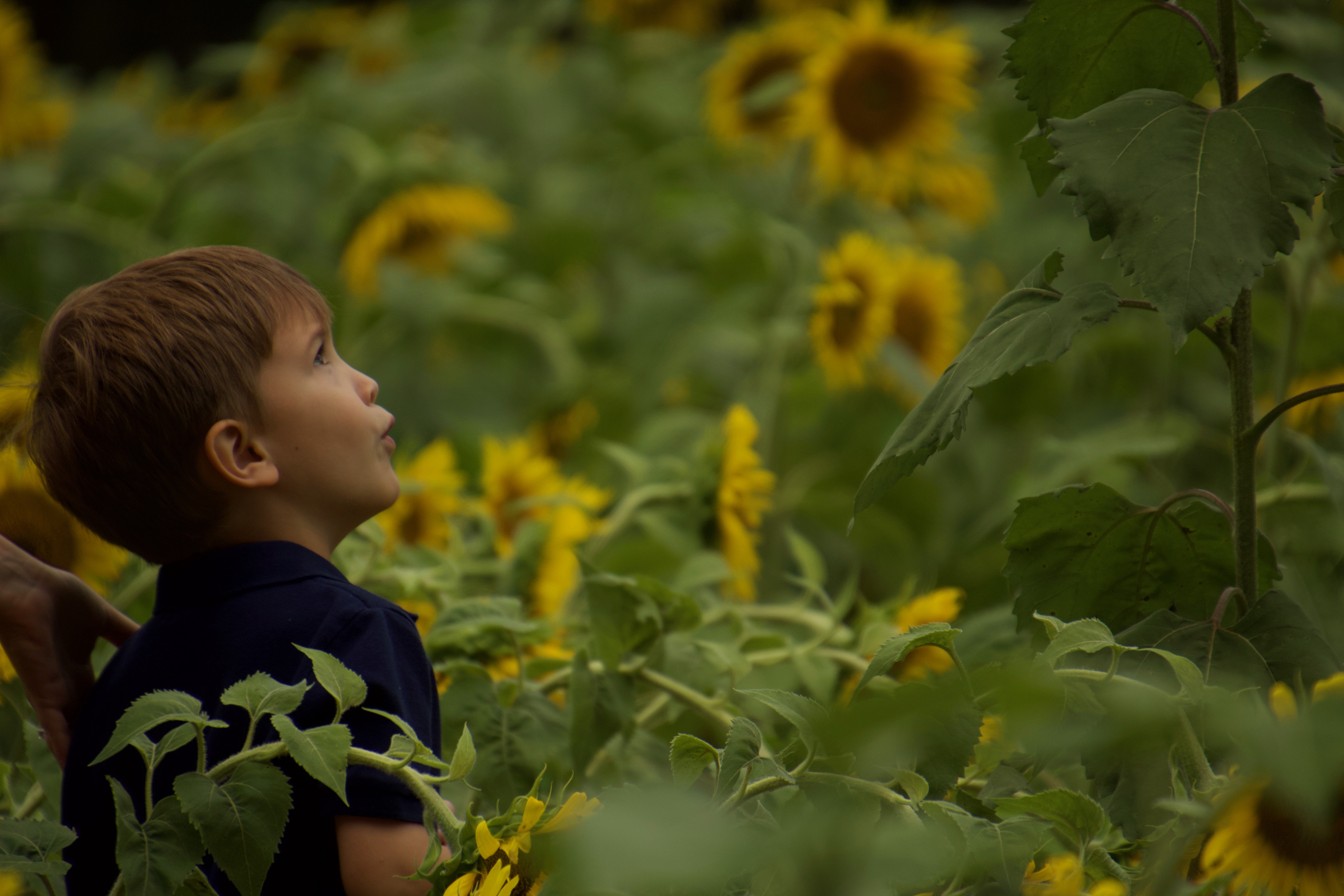 Too tall to smell by Parker Bolen | Fstoppers