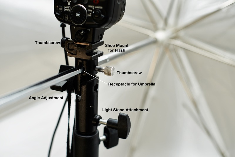 Umbrella 101 for Beginners: Bare Flash vs. Shoot Thru vs. Reflective ...