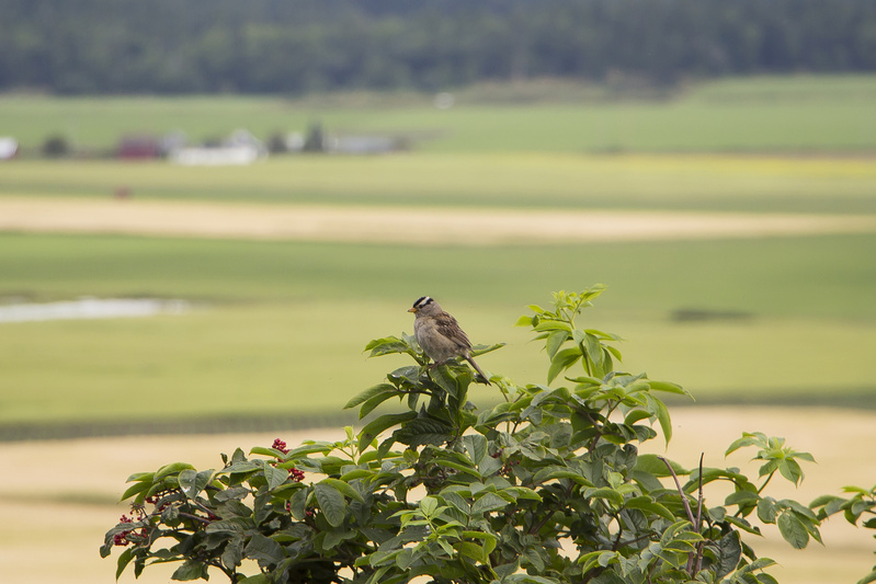 Are Photographers Destroying Nature? | Fstoppers