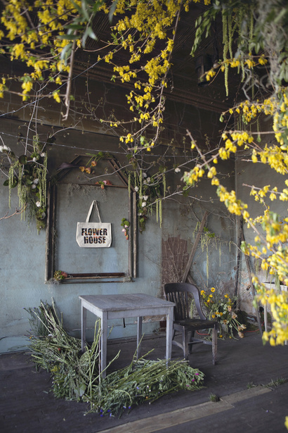 Beauty Blooms in Blight: Striking Photos Show Burst of Color in ...