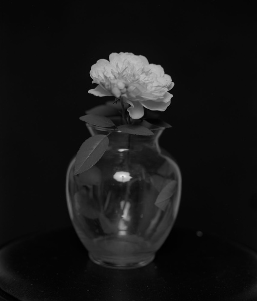 The Awesome Highlights Power of Negative Film | Fstoppers