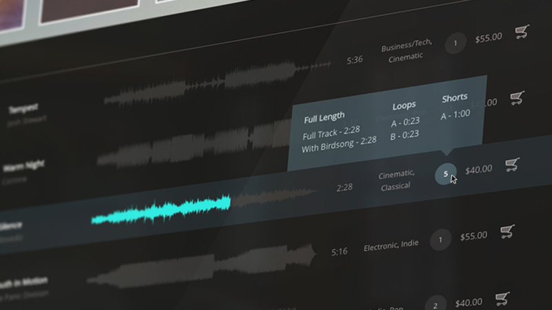 An Interview With Music Vine, The New Name in Music Licensing for Video ...