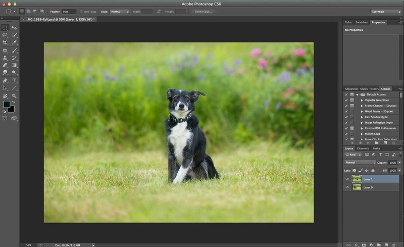 A Simple Compositing Technique for Creating Group Photos of Dogs ...
