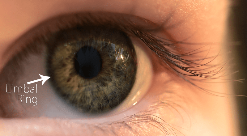 The Secret to Making Eyes More Attractive, Backed by Science | Fstoppers