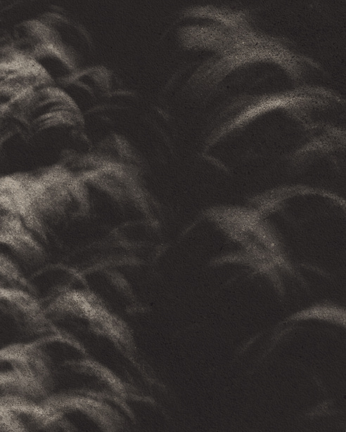 Why I Photographed the Ground During the Solar Eclipse | Fstoppers