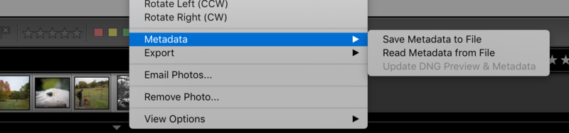Tips for Adding Metadata to Lightroom for Manual Lenses | Fstoppers