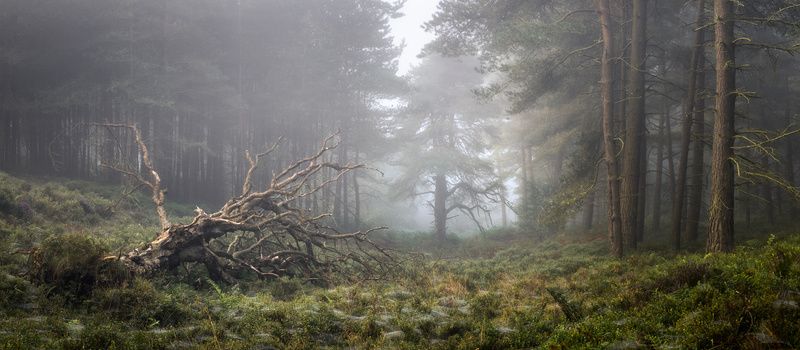 Fine Art Landscape Photography (Part 3): The Introvert Mind Featuring ...