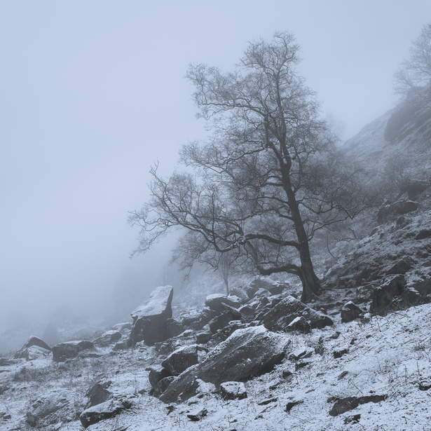 Fine Art Landscape Photography (Part 3): The Introvert Mind Featuring ...