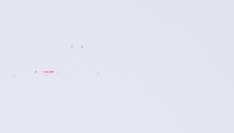 Laser Projectors Burned My Camera's Sensor, Creating Dead Pixels ...