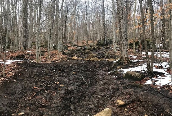 Clear Evidence To Stop Geotagging Specific Locations Of Your Nature ...