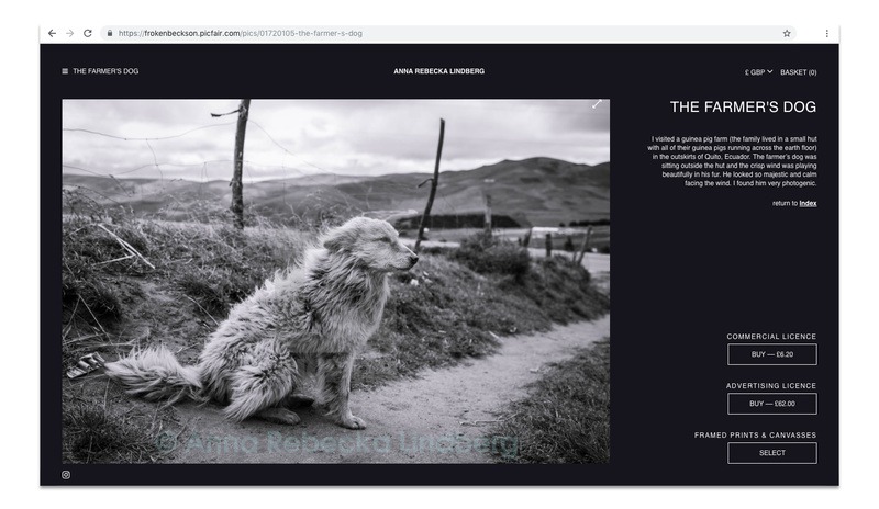 Picfair Changes the Game: A Free Photography Store and a Marketplace ...