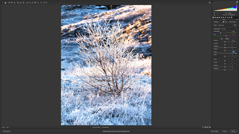 A Very Simple Tip to Make Images ‘Pop’ | Fstoppers
