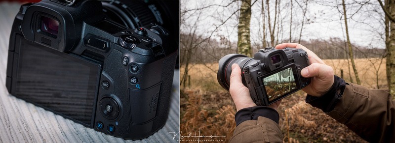 Real Life Comparison of the Sony a7R III, the Nikon Z 7, and the Canon ...