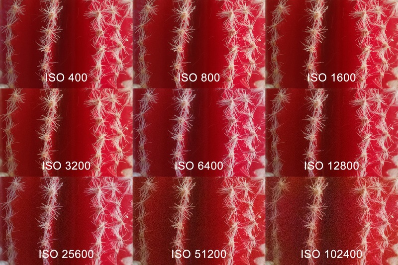 Do You Know the Maximum Acceptable ISO Value for Your Camera? | Fstoppers