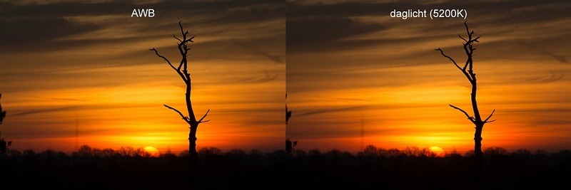 Never Trust Auto White Balance for Your Photography | Fstoppers