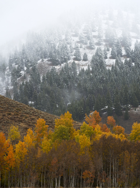 Why You Should Simplify Your Landscape Compositions and Tips to Do So ...