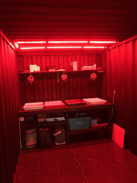 Photographer Creates Huge Functioning Camera From a Shipping Container ...