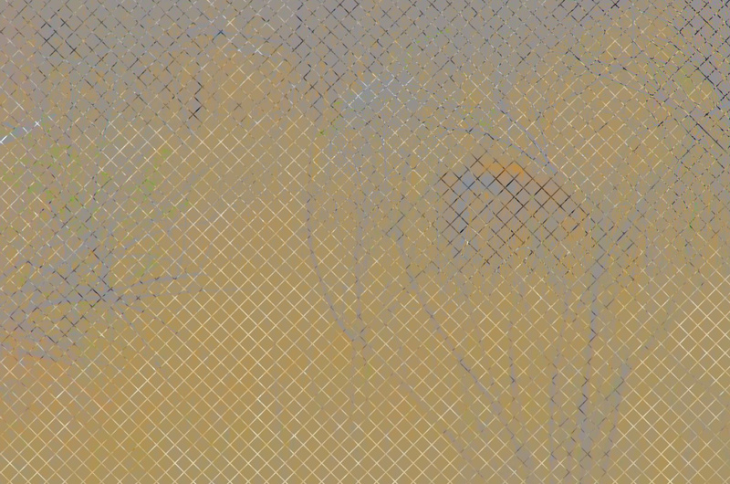 Neuroscience Kung Fu: Use Contrast to Immediately Guide the Eye to the ...