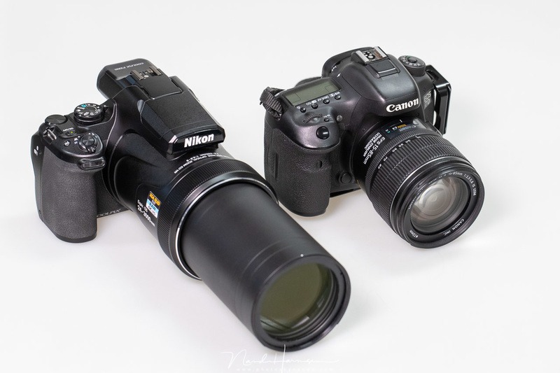 A Review: Shooting With the Nikon Coolpix P1000 | Fstoppers