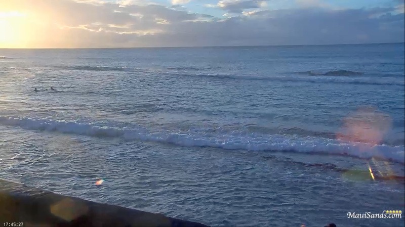 10 of the Most Interesting and Entertaining Live Cameras You Can Watch ...