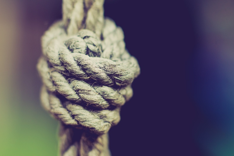 Sometimes, Small and Insignificant Is Perfect to Photograph | Fstoppers