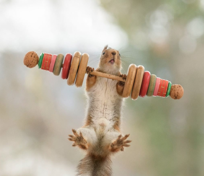 This Photographer Has Spent Over Six Years Capturing Squirrels Doing ...