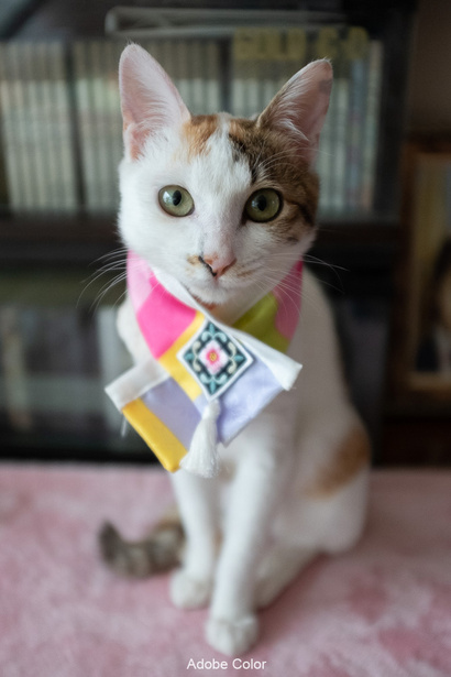 Fstoppers Reviews RNI's All Films 5 Preset Pack for Adobe Lightroom and ...