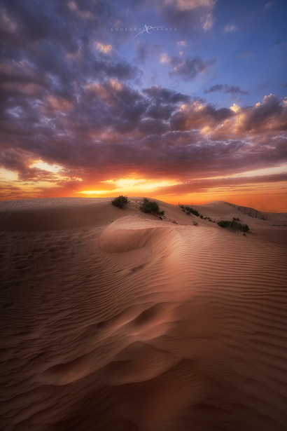 Learn to Master Desert Landscape Photography | Fstoppers