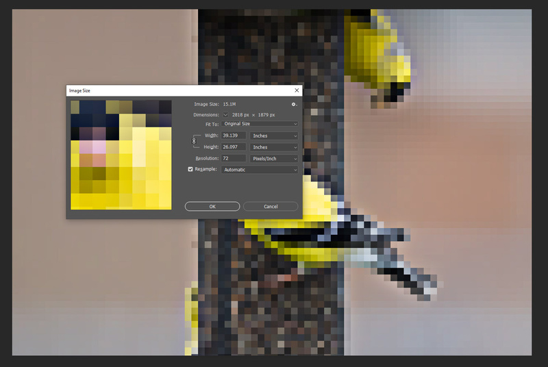 The Photographer's Pixel Problem | Fstoppers