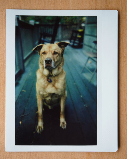 Instant Film Is More Meaningful Than Digital Photography | Fstoppers