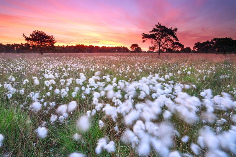 A Reason to Combine Gradient Neutral Density Filters and Bracketing in ...