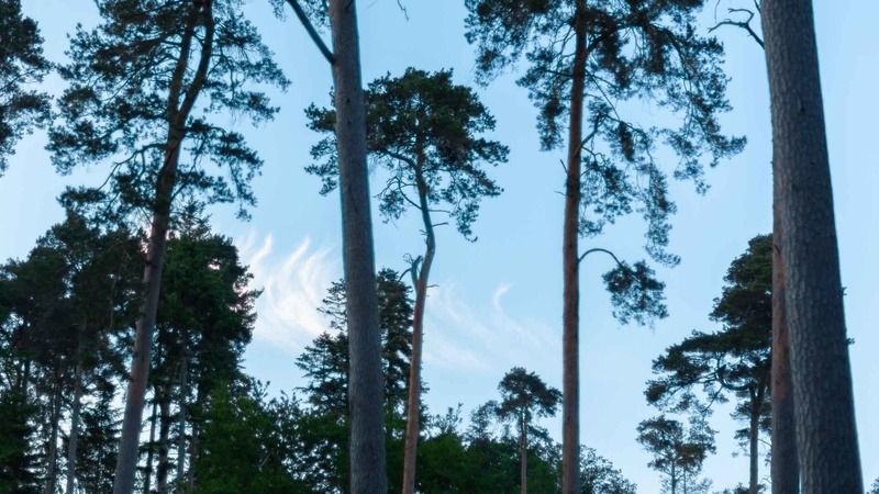 How to Remove Color Fringing in Lightroom | Fstoppers