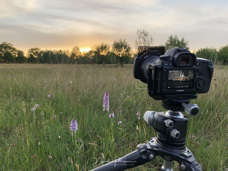 6 Good Reasons for Using Live View When Photographing From a Tripod ...