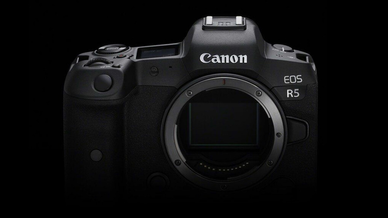 Canon Just Announced the EOS R6 and EOS R5: Here's How They Compare ...