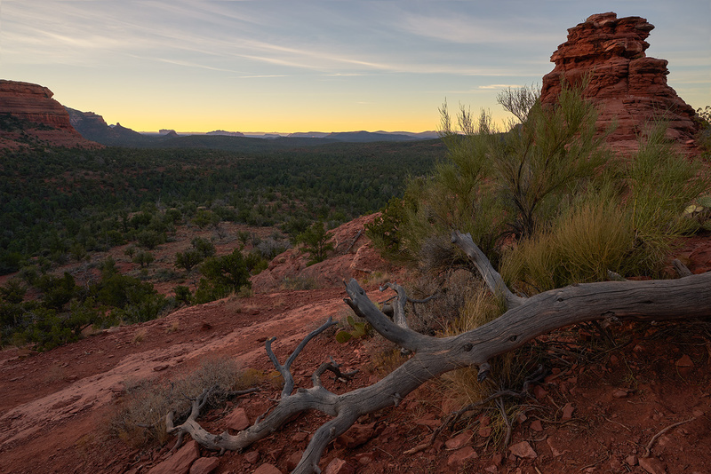 The Sony a7S III’s Missing Feature | Fstoppers