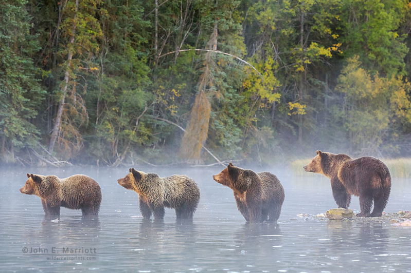 Insights Into Canon’s Mirrorless, Conservation, and the Business of ...