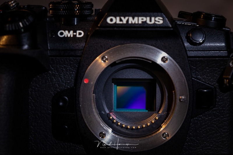 Trying Out an Olympus OM-D: Why Are These Cameras Not That Popular ...