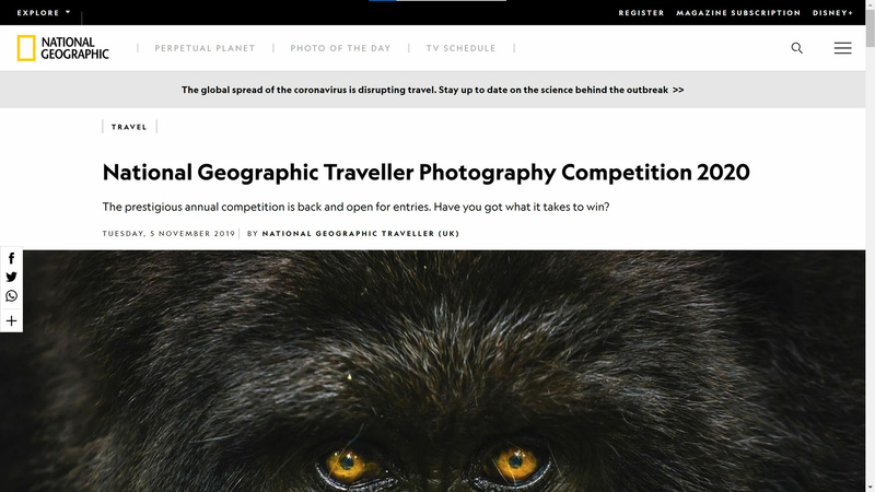 How to Increase Your Chances of Winning a Photography Competition ...