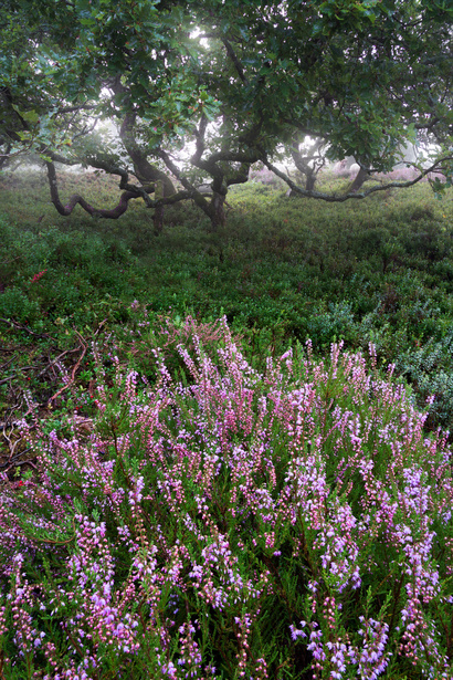 7 Simple Tips to Create a Strong Depth in Your Photos | Fstoppers