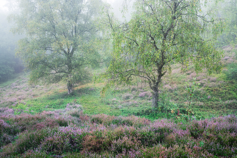 7 Simple Tips to Create a Strong Depth in Your Photos | Fstoppers