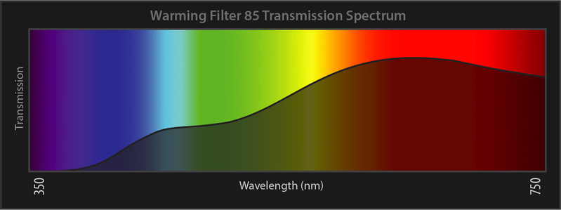 When White Balance Adjustments Go Wrong | Fstoppers