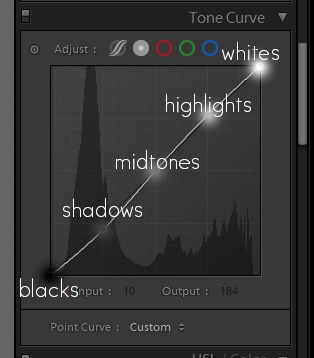 Tone Curve is the Most Powerful Tool in Lightroom | Fstoppers