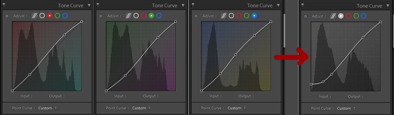 Tone Curve is the Most Powerful Tool in Lightroom | Fstoppers
