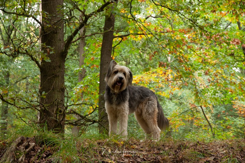 Looking Back at the Canon EOS 20D, and How Does It Compare to Today’s ...