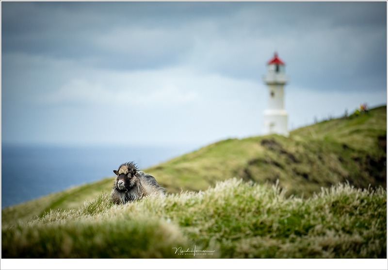 Eight Ways To Add Depth To Your Landscape Photo | Fstoppers