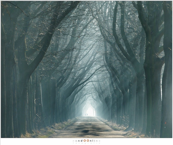 Eight Ways To Add Depth To Your Landscape Photo | Fstoppers