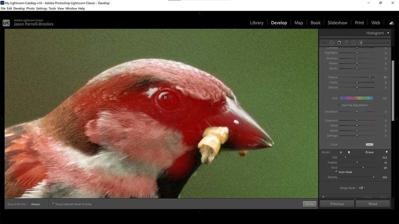 Eliminate High ISO Noise Fast With Lightroom | Fstoppers