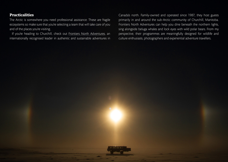 Tips for Photographing the World's Largest Land Predator in the Arctic ...