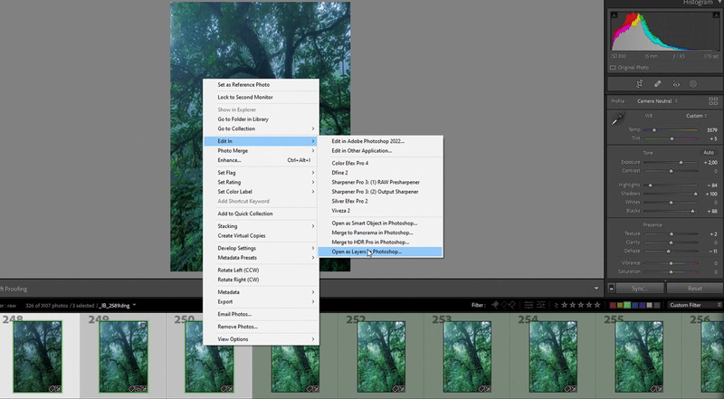 How to Combine Focus Stacking and Exposure Blending for Better Photos ...